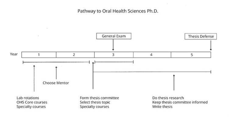 PhD Program - UW School of Dentistry
