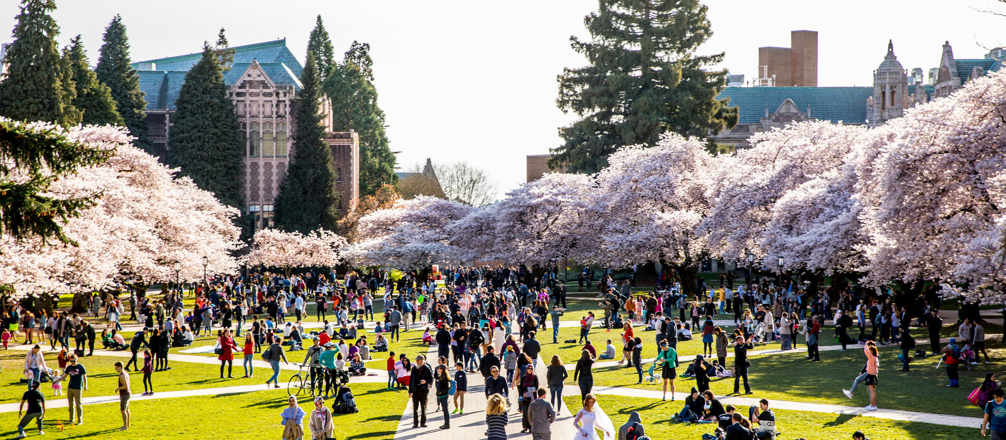 UW School of Dentistry Profile - UW School of Dentistry